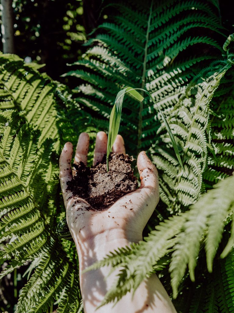 How Can We Achieve the Sustainability Goals? - TotalCtrl